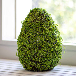 Moss Eggs – The Permanent Garden