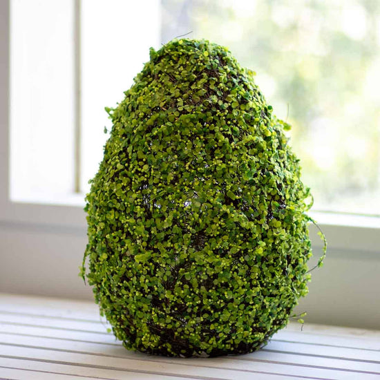 Moss Eggs – The Permanent Garden