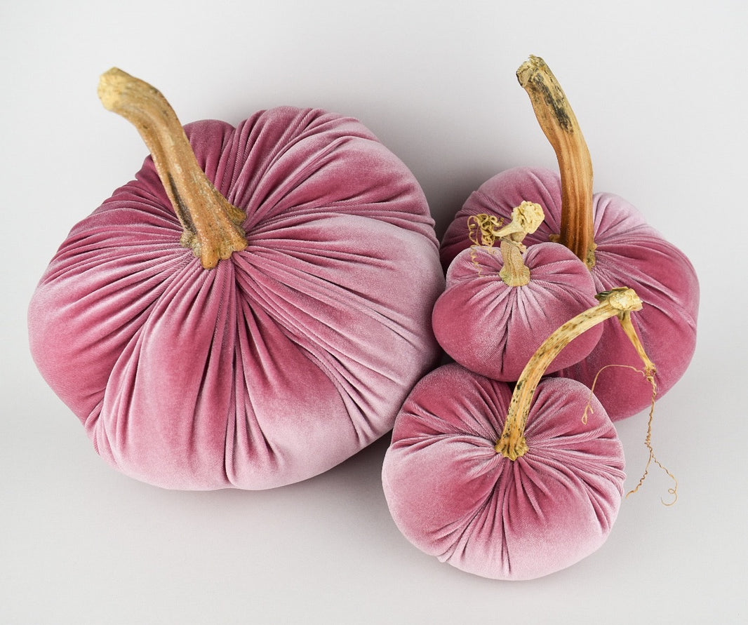 Velvet Pumpkins – The Permanent Garden
