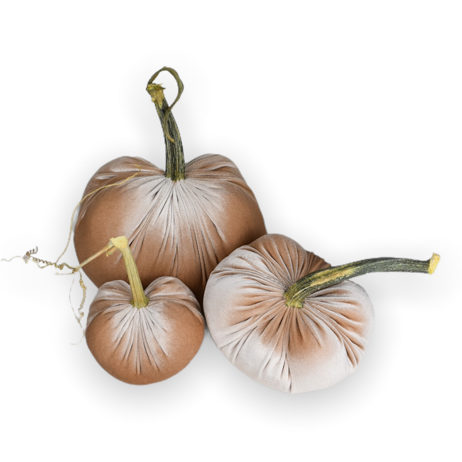 Velvet Pumpkins – The Permanent Garden