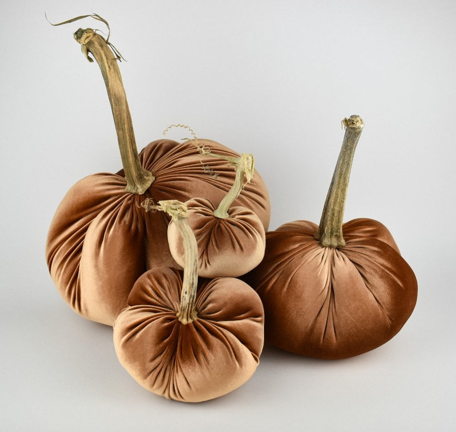 Velvet Pumpkins – The Permanent Garden