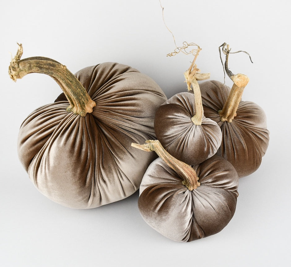 Velvet Pumpkins – The Permanent Garden