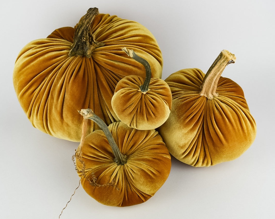 Velvet Pumpkins – The Permanent Garden