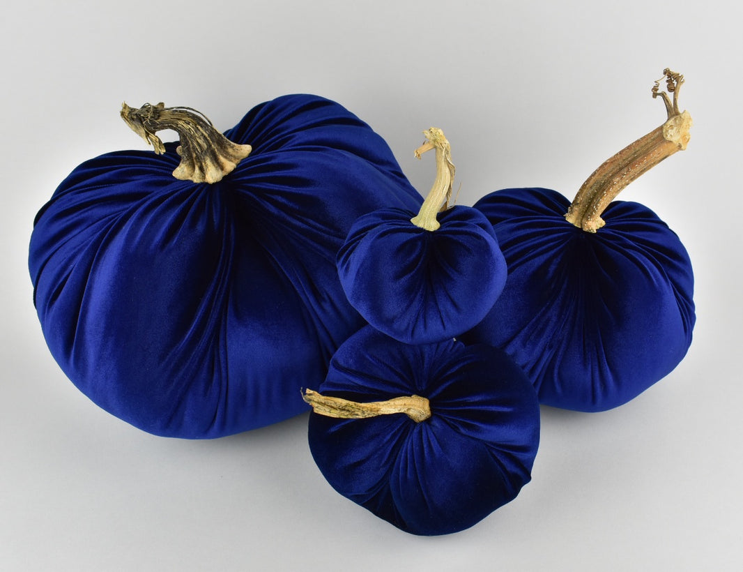 Velvet Pumpkins – The Permanent Garden