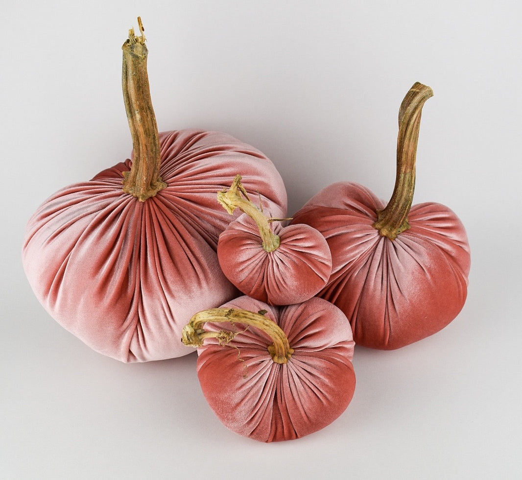 Velvet Pumpkins – The Permanent Garden